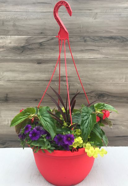 Red Mix - red hanging basket - Hanging Baskets - Sunshine Express ...